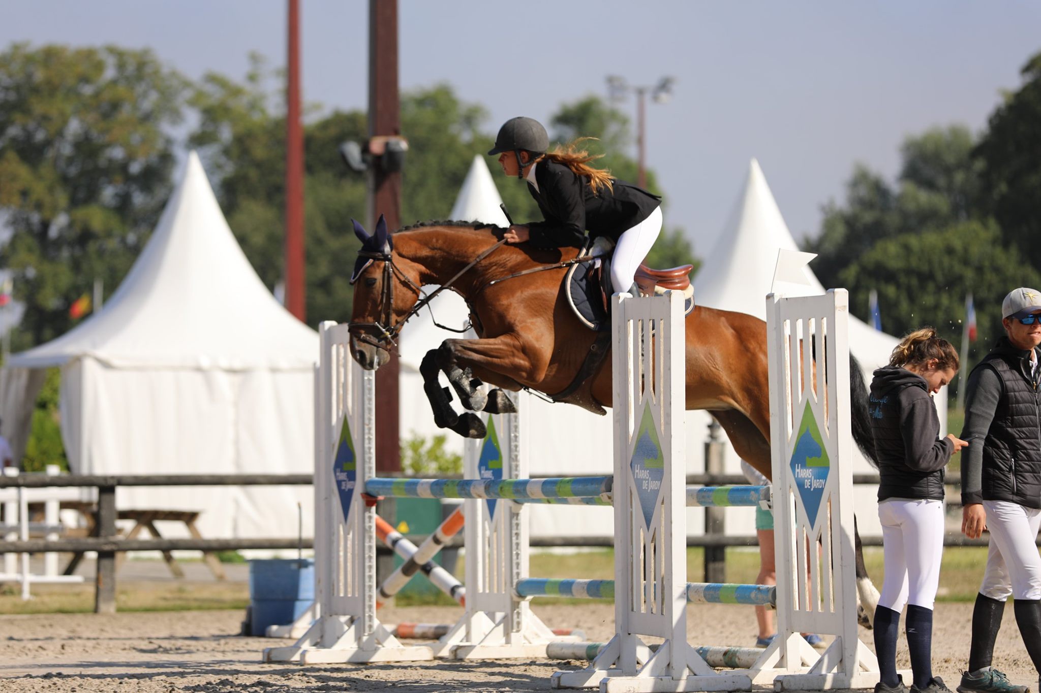 Demi pension cheval 95 - Ecuries au Coeur de L'Isle Adam
