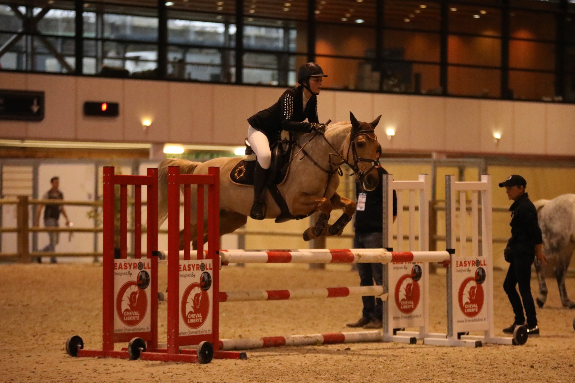 Demi pension cheval 95 - Ecuries au Coeur de L'Isle Adam