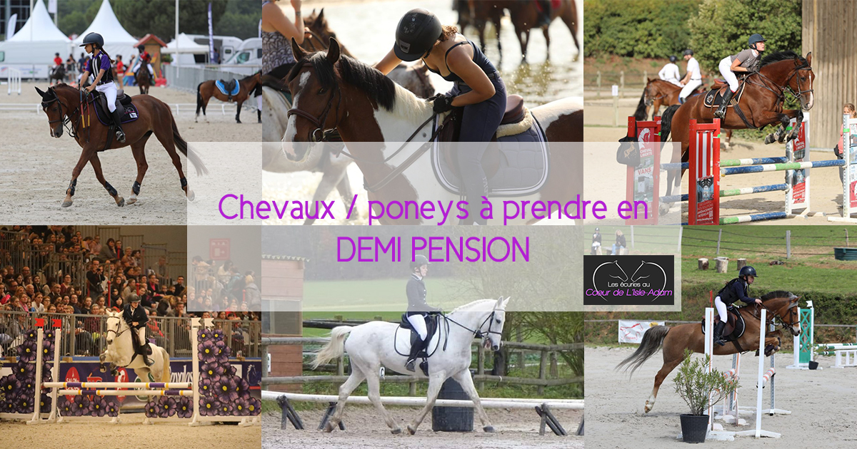 Demi pension cheval 95 - Ecuries au Coeur de L'Isle Adam