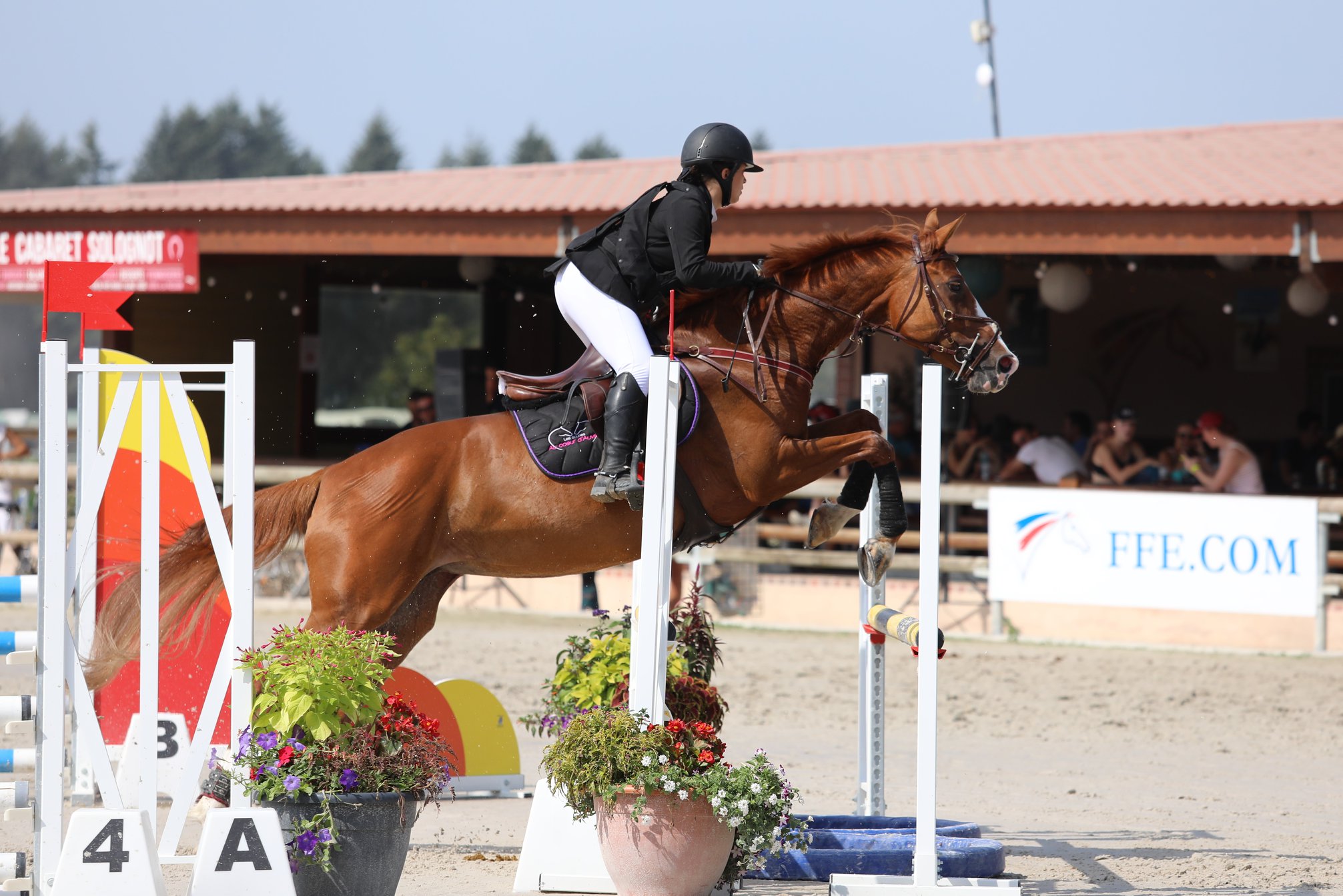 Demi pension cheval 95 - Ecuries au Coeur de L'Isle Adam